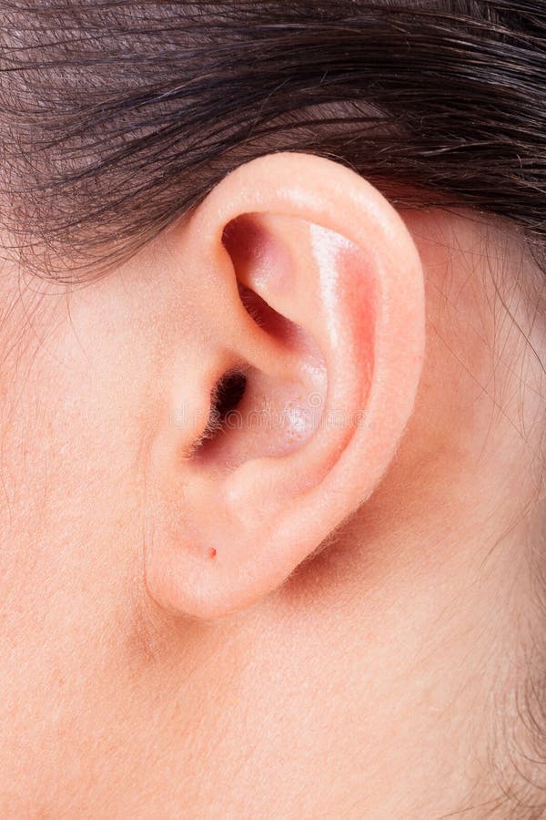 Shot of female ear stock image. Image of anatomy, ears - 125271105