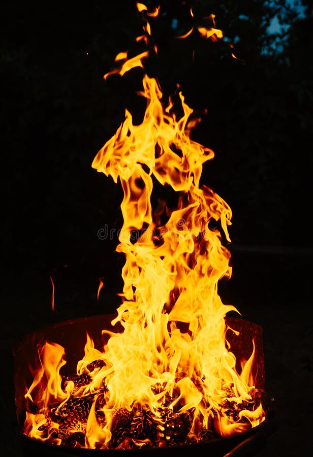 The Flame of a Fire Burning on the Street in the Late Evening Bonfire ...