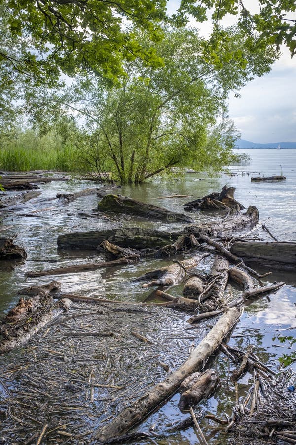 Flooding at the Lake Constance in Austria Stock Photo - Image of ...