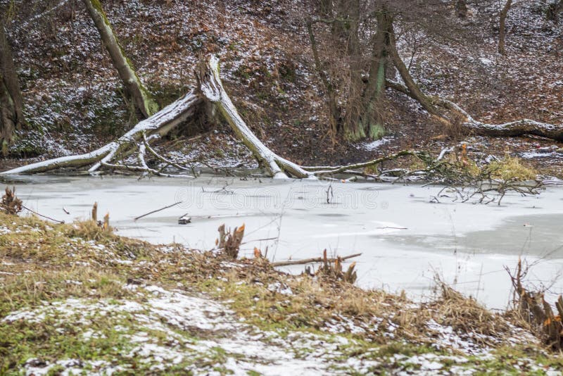 Shot of the Frozen Winter River. Nature Stock Photo - Image of frosty ...