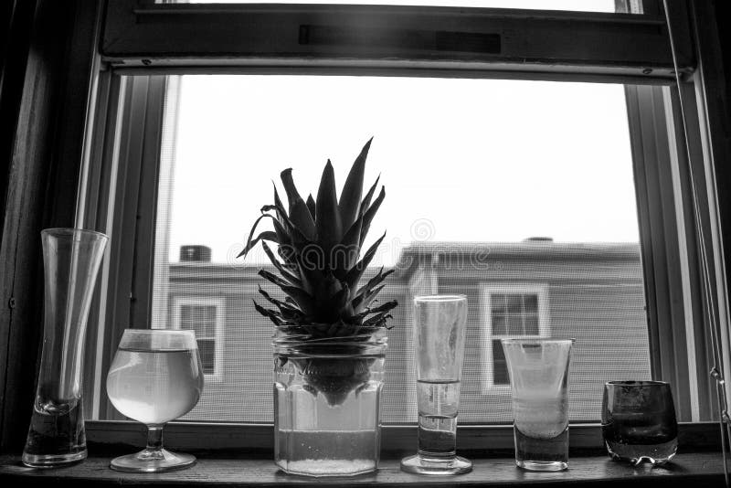 Shot Glasses on Windowsil stock image. Image of drink - 123109741