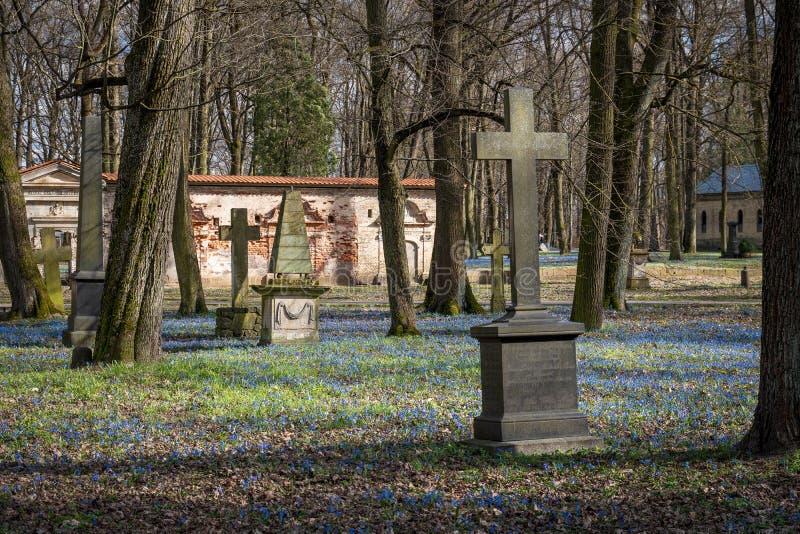 Shot of a Graveyard with Several Gravestones and Numerous Trees Stock ...