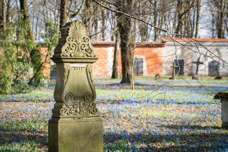 Shot of a Graveyard with Several Gravestones and Numerous Trees Stock ...