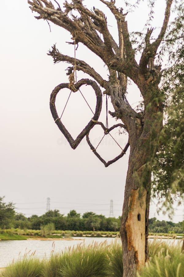 Shot of a Heart Shaped Wooden Installations in the Park. Outdoors Stock ...