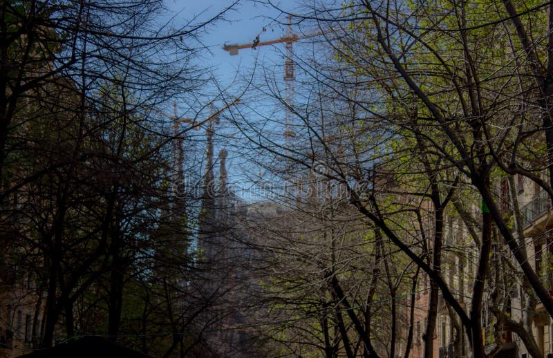 Shot of a Historical Building Visible through Tree Branches Stock Photo ...