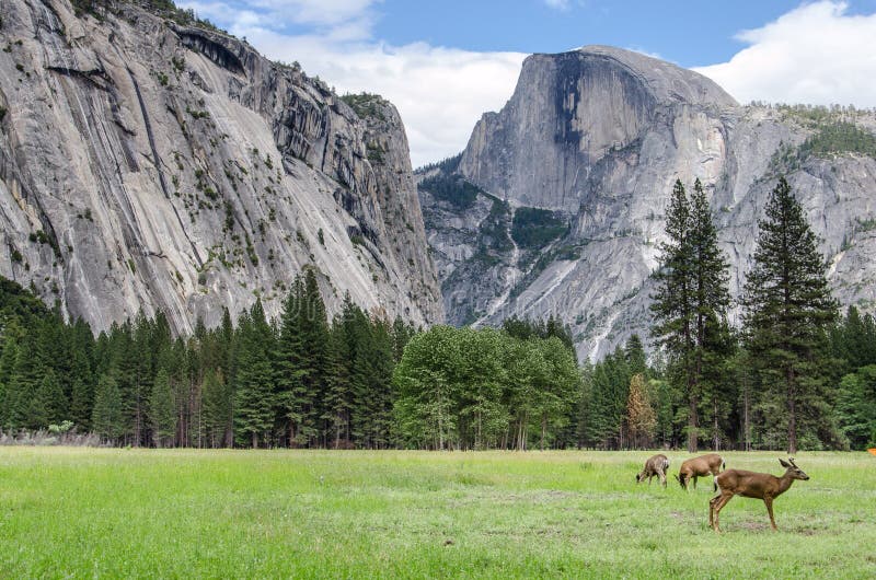 Mountain stock image. Image of nature, front, valley - 174130787