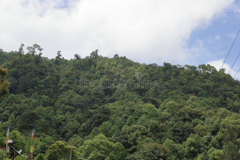 Mountains Covered with Green Trees in Sikkim, India Stock Photo - Image ...