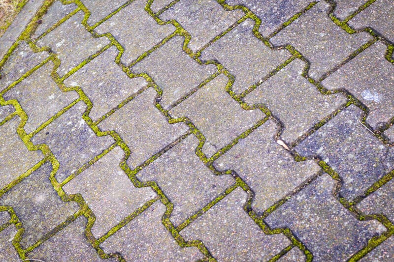 Shot of the Old Interlock Bricks with Grass between Them. Texture Stock ...