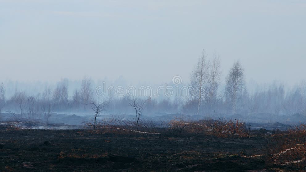 A shot of peat bog fire stock photo. Image of firehose - 238528858