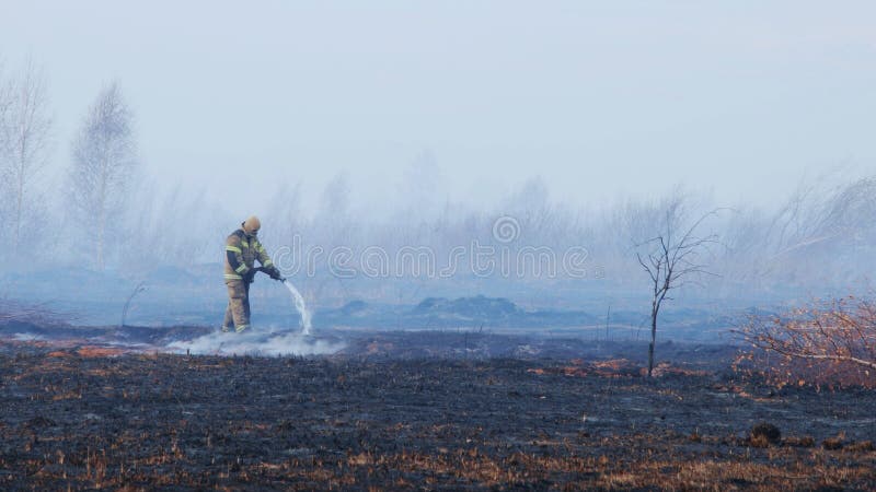A shot of peat bog fire stock photo. Image of fire, environment - 238528862