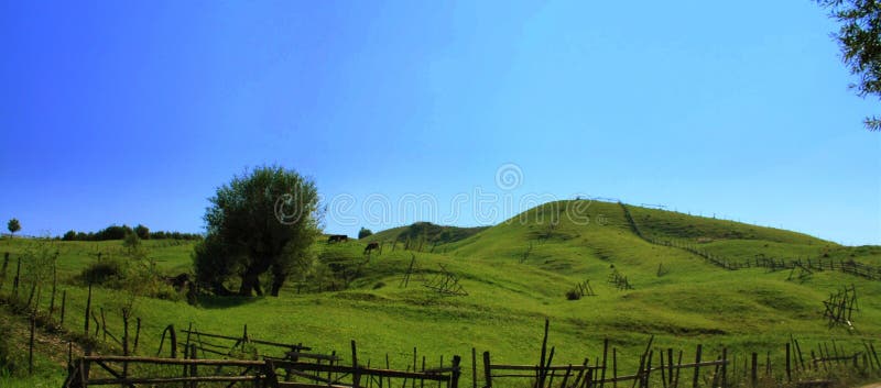 Shot of a ranch in nature stock photo. Image of rural - 205648934