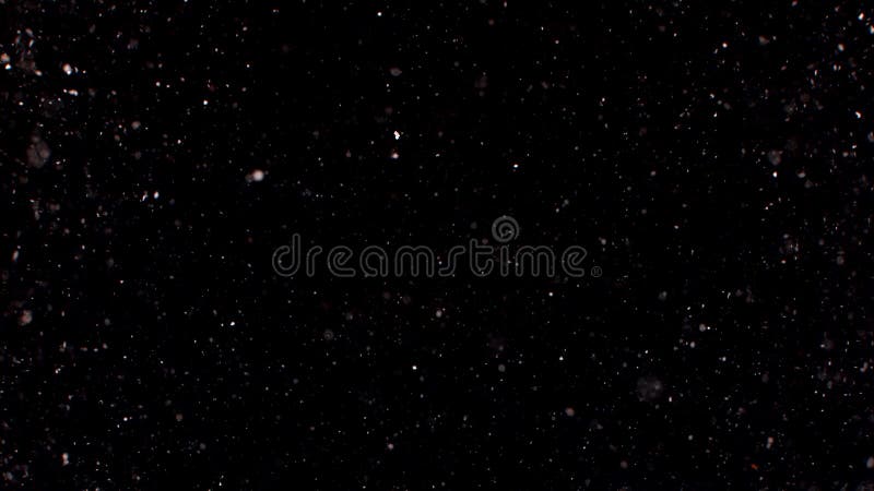 Shot of Real Dust Particles Floating in the Air. Dust Particles ...