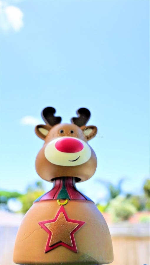 Shot of Reindeer Having a Summer Christmas Holiday Stock Photo - Image ...