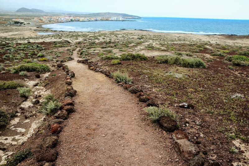 Shot of a Sandy Pathway Surrounded by Plants on the Coast of a Beach ...