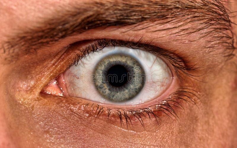 Shot of scared man eye stock photo. Image of human, sensory - 18451544