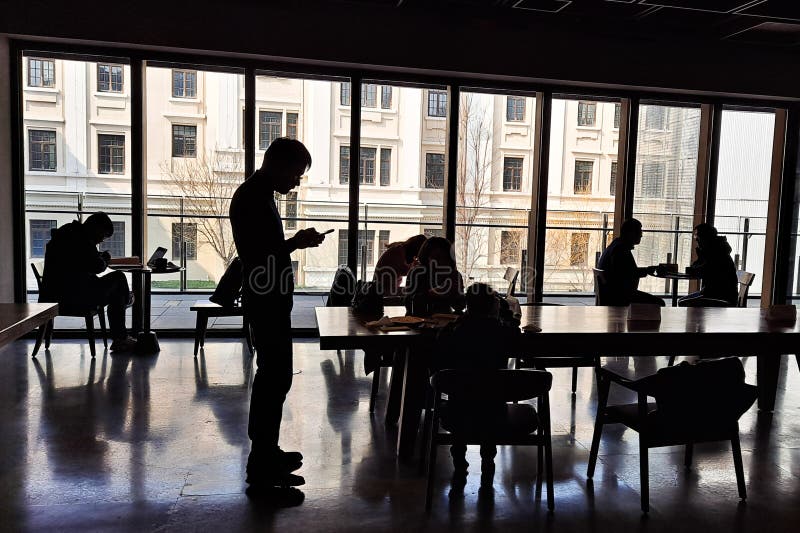 Shot of the Silhouettes of the People Working and Studying in the Same ...