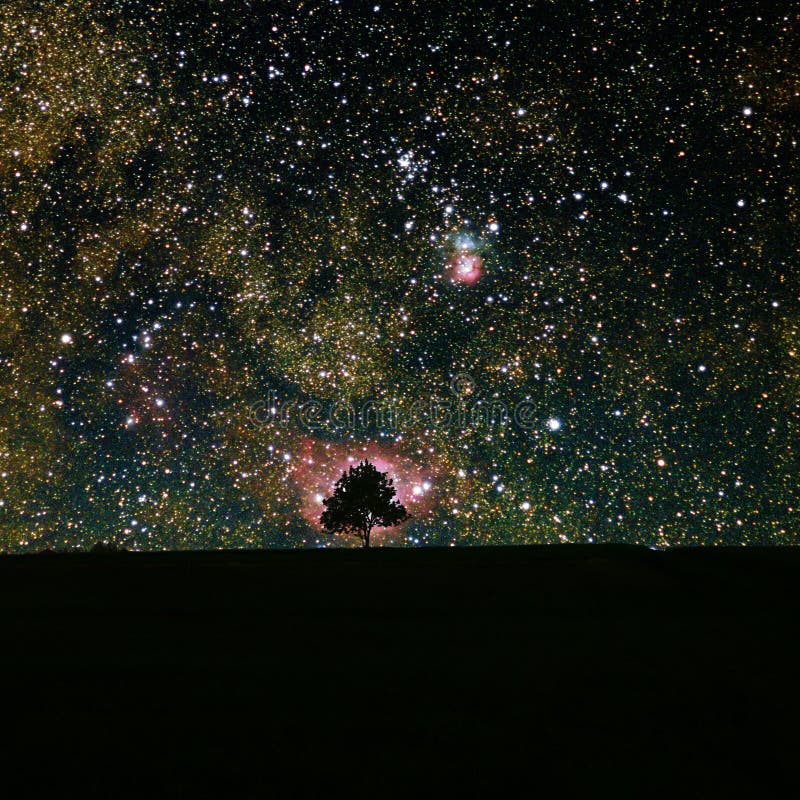 Single Tree Under Starry Sky at Night, Single Tree at Night Stock Image ...