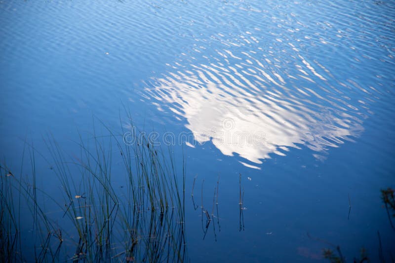 Shot of Sky and Clouds Reflected in the Pure Water Stock Photo - Image ...