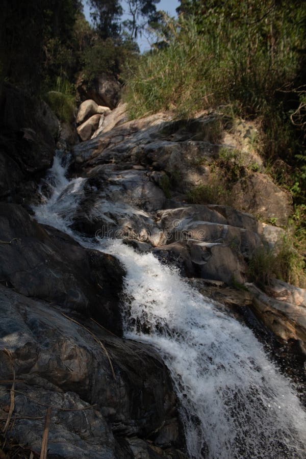 Shot of a Small Stream Flowing through the Rocks in the Forest Stock ...