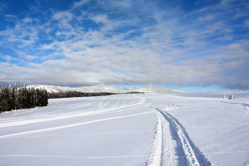 Shot of a snowy land stock image. Image of season, nature - 205653363