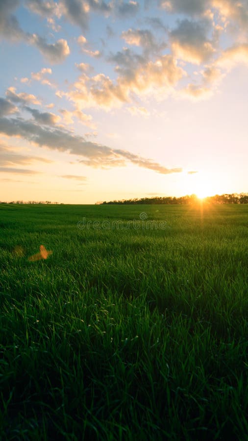 Sunset over field stock image. Image of clouds, farm - 209795601
