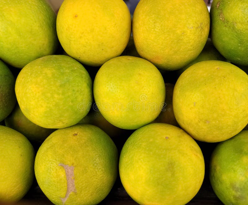 Shot of Sweet Lime Mostly Called Mosambi Stock Image - Image of tree ...