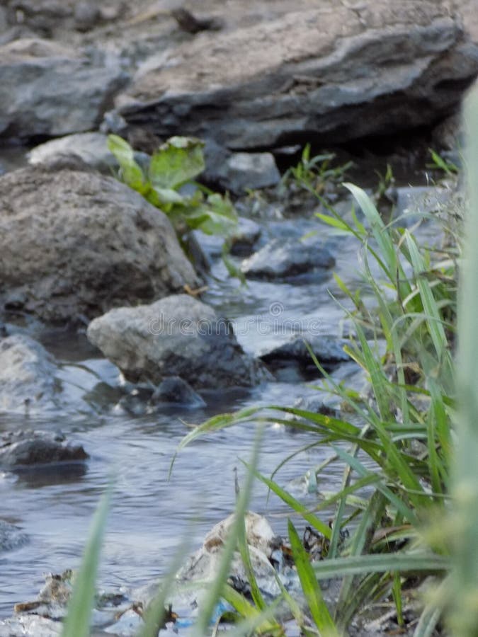 Water streaming stock photo. Image of streaming, ngong - 103551546