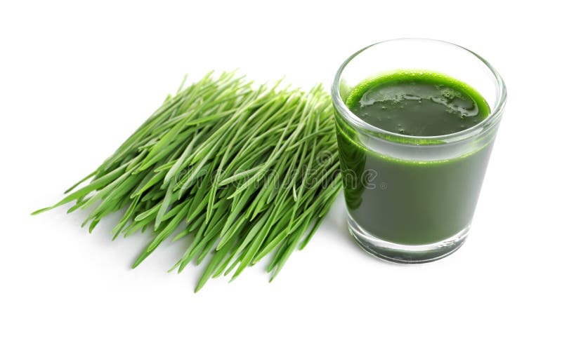 Shot of Wheat Grass Drink on Background Stock Photo - Image of ...