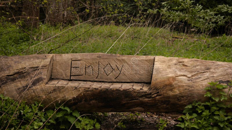 627 Word Bark Stock Photos - Free & Royalty-Free Stock Photos from ...