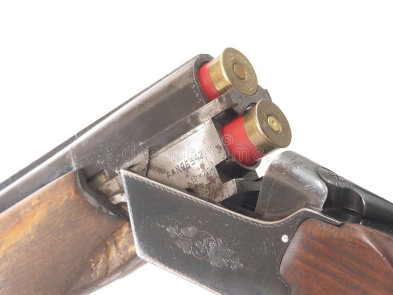 283 Single Shotgun Cartridge Stock Photos - Free & Royalty-Free Stock ...