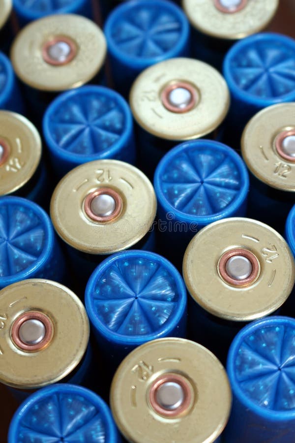 Shotgun cartridges stock photo. Image of round, game - 139415316