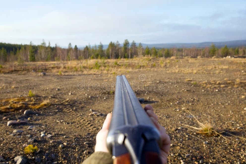 Shotgun Pointing at the Target Stock Photo - Image of shooting, firing ...