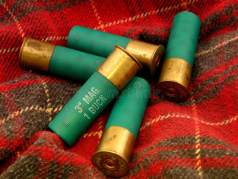 Shotgun Shells stock image. Image of shotgun, gauge, cartridge - 541931