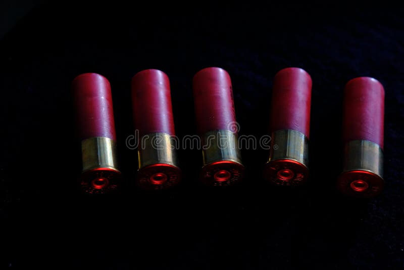 Shotgun Shells on a Black Surface. Ammunition for 12 Gauge Smoothbore ...