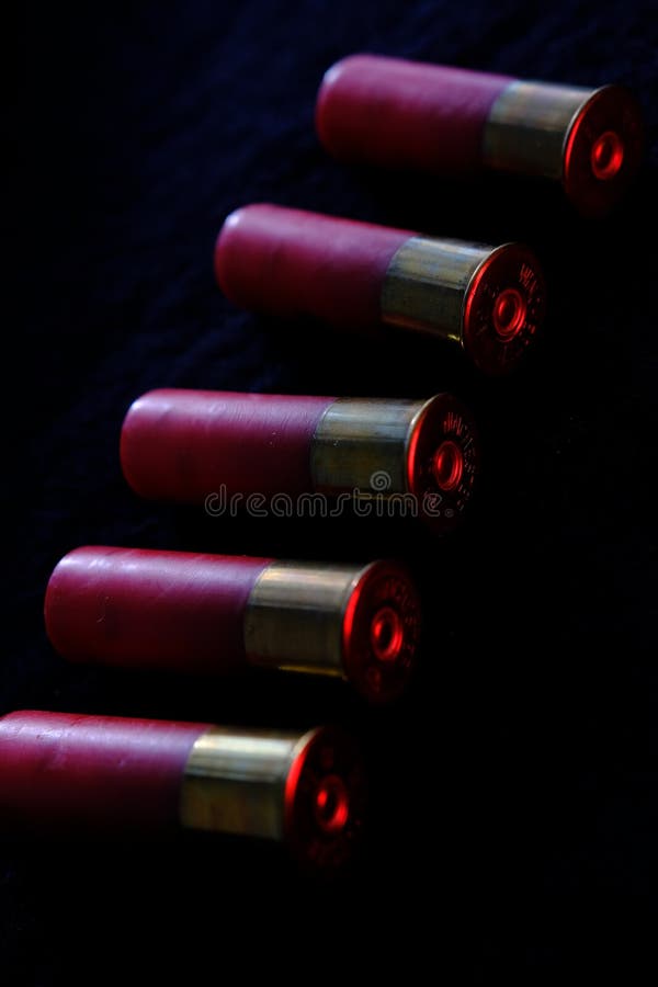 Shotgun Shells on a Black Surface. Ammunition for 12 Gauge Smoothbore ...