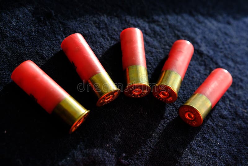 Shotgun Shells on a Black Surface. Ammunition for 12 Gauge Smoothbore ...