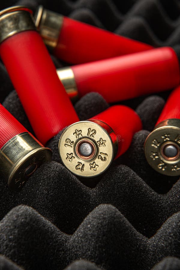 Shotgun Shells on Foam Rubber. Ammunition for 12 Gauge Smoothbore ...