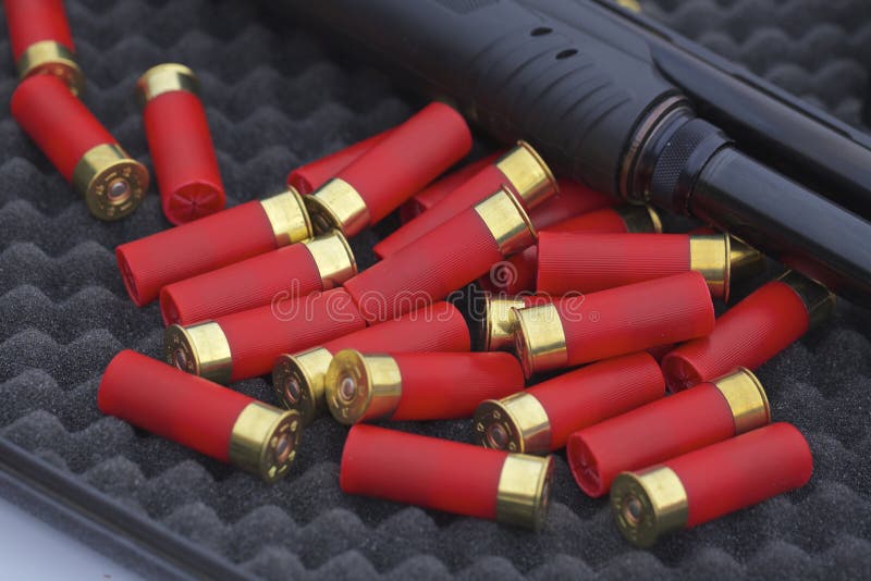 Shotgun shells stock image. Image of shell, kill, weapon - 72986265