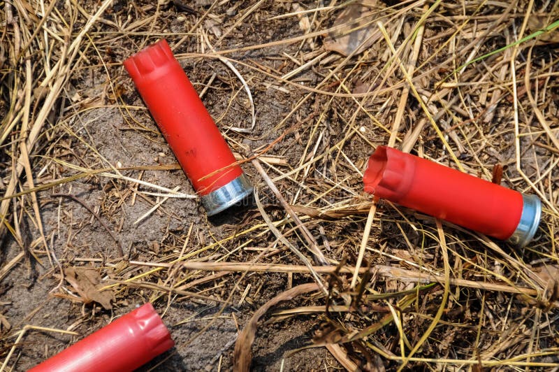 Shotgun Shells stock image. Image of leaf, police, empty - 85127435