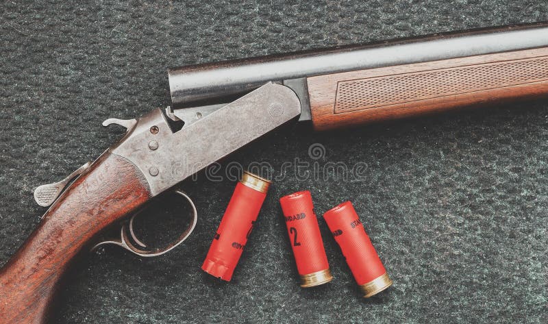 Shotgun and Shells stock photo. Image of shooting, shell - 370435824