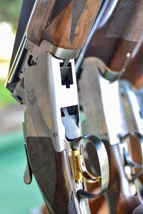 Shotguns stock photo. Image of bumper, beautiful, firearm - 285404324