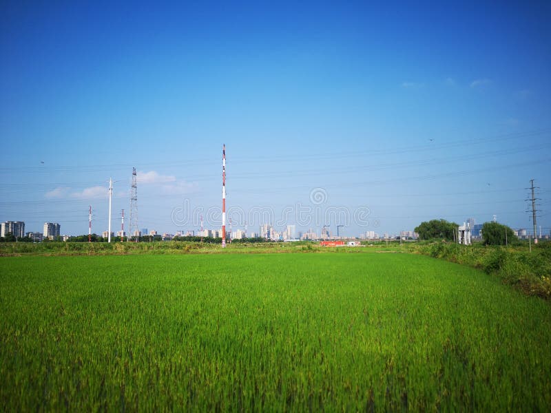 Shotting the Wild Farm in a Sunny Day Stock Photo - Image of modern ...