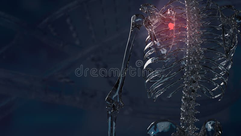 Posterior or Back View of Human Male Pelvis, Sacrum, Lumbar Spine and ...