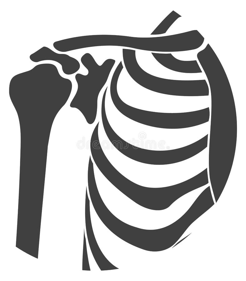 Orthopedic and Spine Vector Black Symbols. Human Bones Icons Stock ...