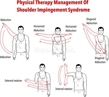Shoulder Joint Movements Vector Illustration Stock Vector ...