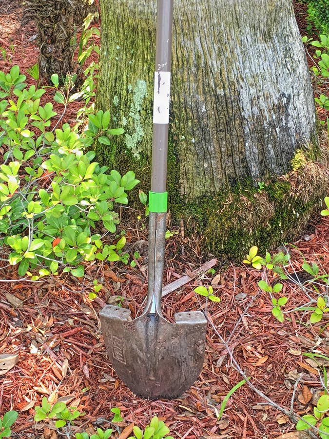 Shovel Against Tree stock photo. Image of chips, tree - 72423082