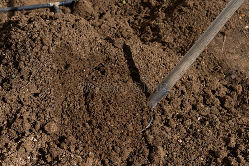 Shovel Digging the Soil of an Orchard Stock Photo - Image of accessory ...