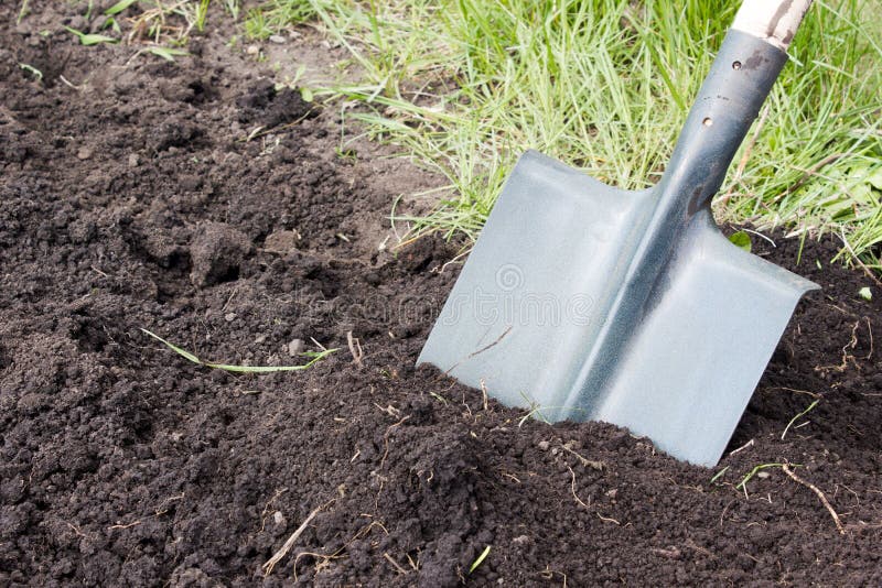 Shovel digging stock photo. Image of ground, worker, construction ...
