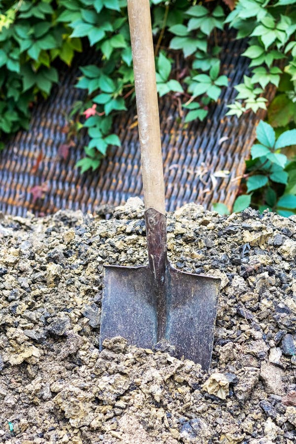 A Shovel for Digging Trenches is Stuck in the Ground Stock Photo ...