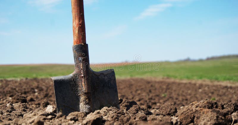 Shovel stock photo. Image of earth, rural, farm, ground - 91941330